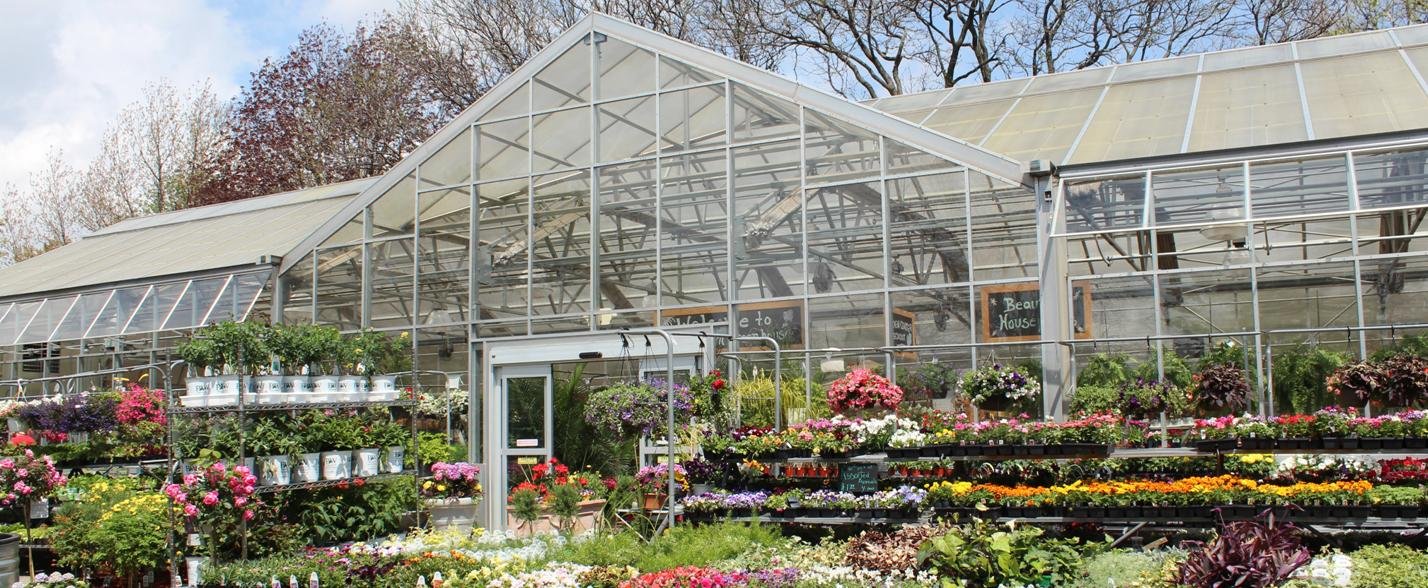How Does a Greenhouse Works? – Complete Guide on Greenhouse - Article ...